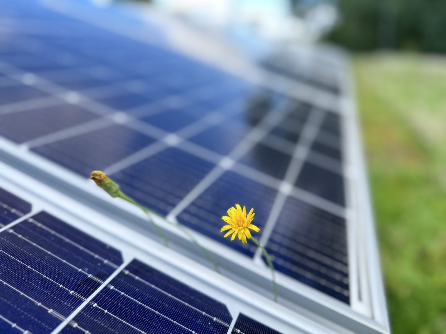 SAPOtech – change our future